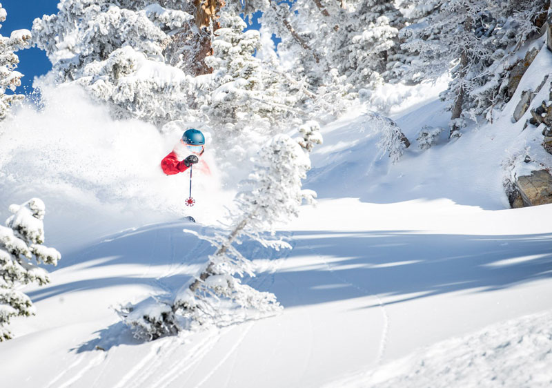 Snowbird Ski Resort | Snowbird Utah Reviews