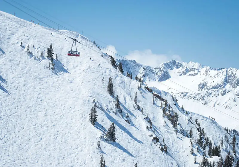 Ski Snowbird Resort Snowbird Skiing Terrain Ratings
