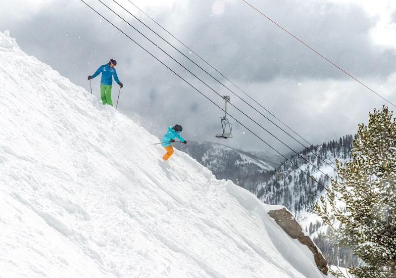 Ski Snowbird Resort | Snowbird Skiing Terrain Ratings