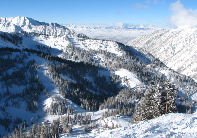 Ski Snowbird Resort | Snowbird Skiing Terrain Ratings