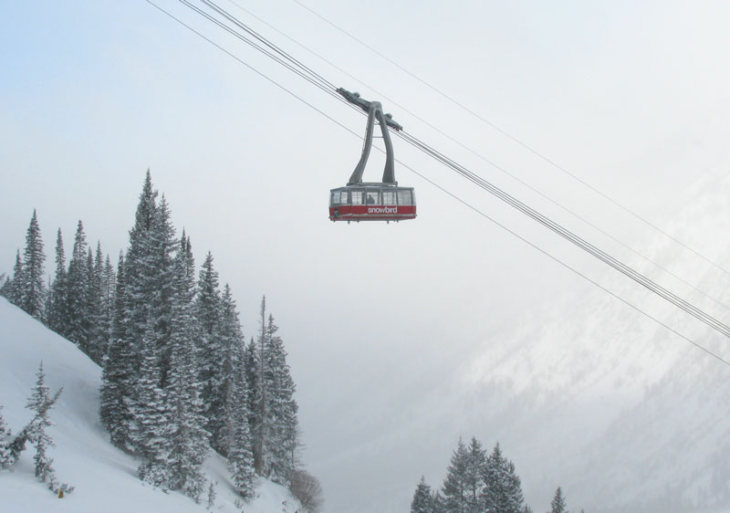 Ski Snowbird Resort | Snowbird Skiing Terrain Ratings