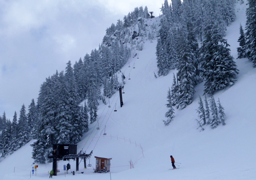 Stevens Pass Ski Area | Skiing Terrain Ratings
