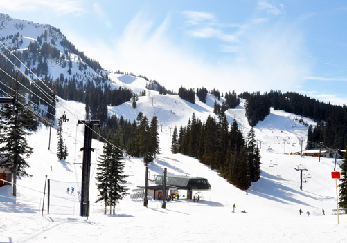 Stevens Pass Ski Area | Skiing Terrain Ratings