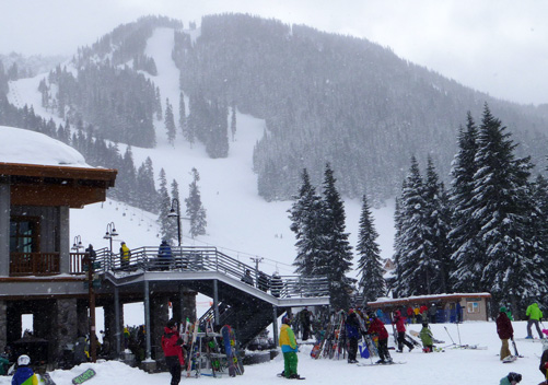 Stevens Pass Ski Area | Skiing Terrain Ratings