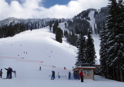 Stevens Pass Ski Area | Skiing Terrain Ratings