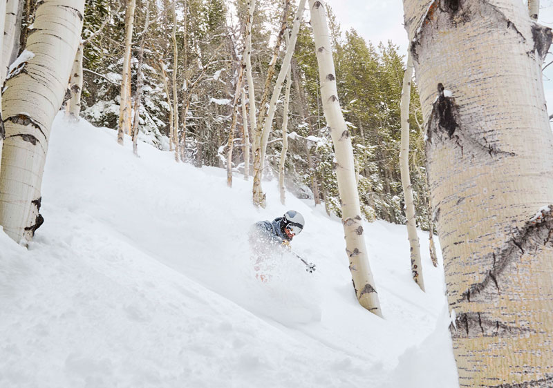 Vail Skiing Terrain Ratings | Vail Mountain Snow