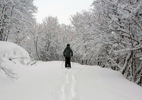 Ski Nordic Valley Utah | Wolf Mountain Ski Resort