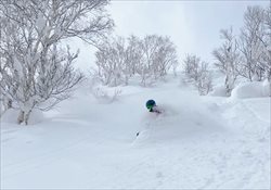 Sapporo Japan | Sapporo Skiing | Sapporo Ski Resorts